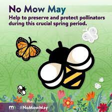 Less Mow May returns to Northfield on Thursday – KYMN Radio ...